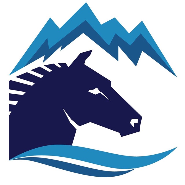 Ecological Dynamics – Dynamics Coaching Ecological Dynamics – Dynamics Coaching